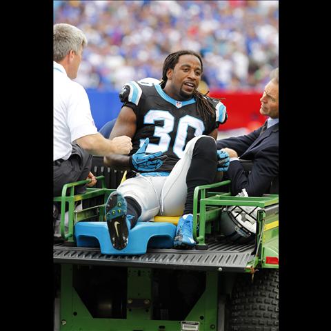 Quintin Mikell Panthers