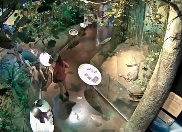 Couple Caught On Tape Stealing Dinosaur From NC Science Museum ...