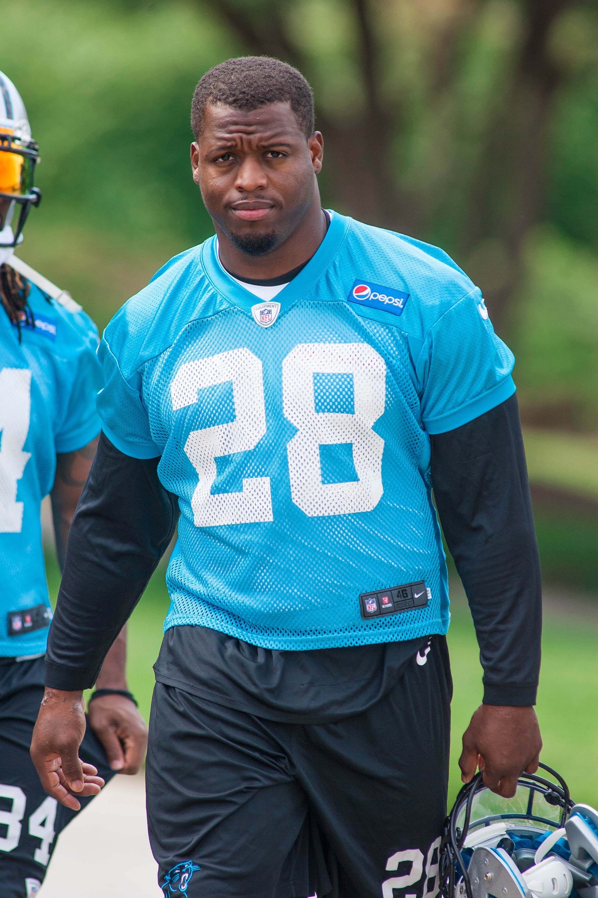 Panthers' Stewart Not Worried About Latest Injury | wfmynews2.com