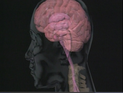 Water Intoxication. It's Real And It's Deadly. | wfmynews2.com