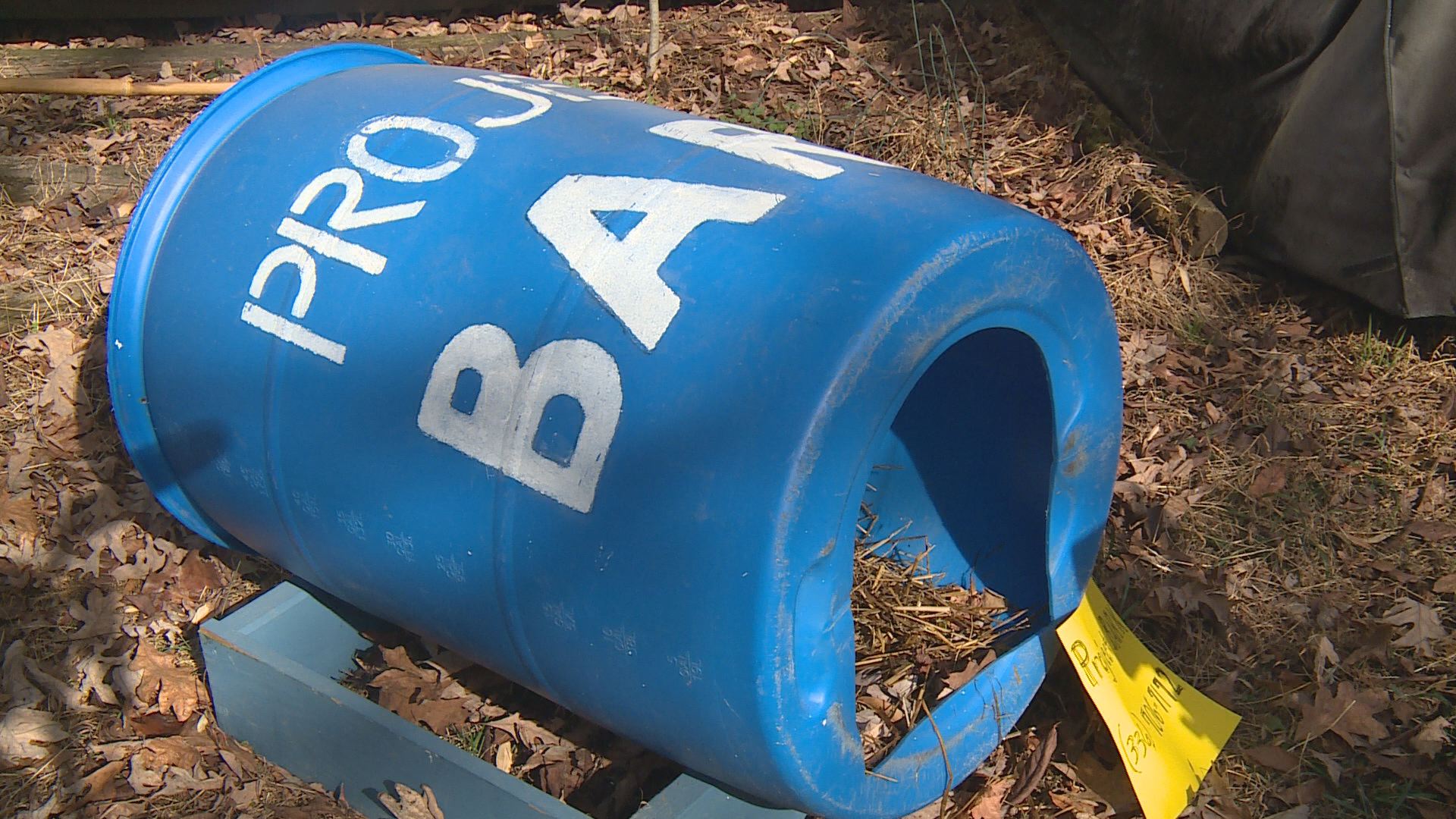 Project BARK Provides Shelters For Dogs Out In The Cold | wfmynews2.com