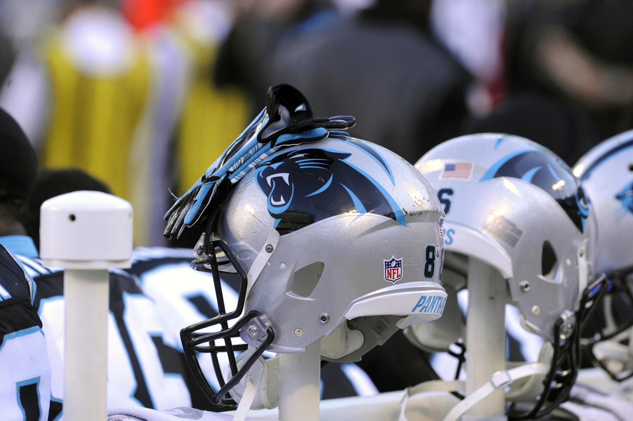 Panthers 2015 Preseason Schedule Announced | wfmynews2.com