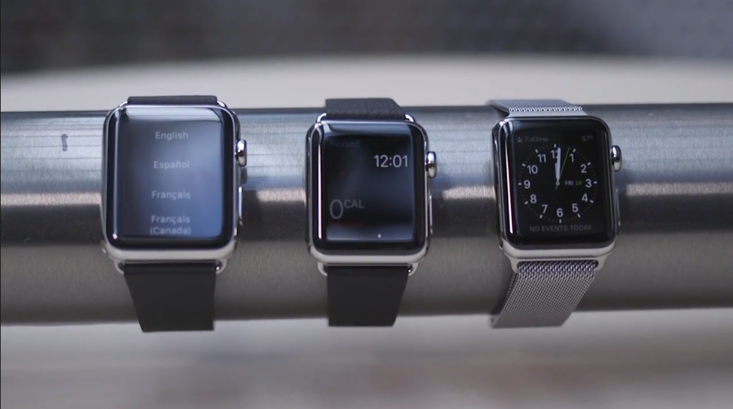 Apple Watch: Why It's Expensive & A Real Life Testimonial | wfmynews2.com