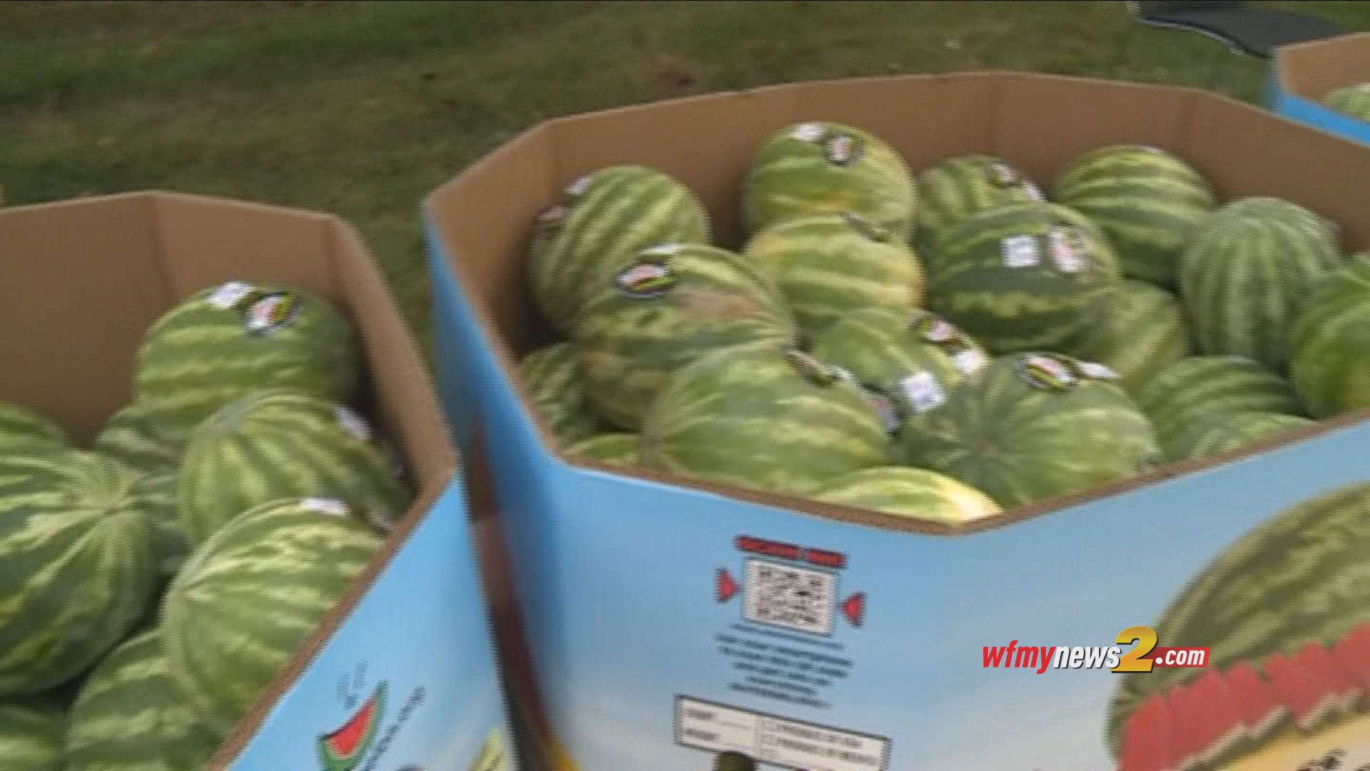 Syngenta Donates Watermelons To Local Nonprofits | wfmynews2.com