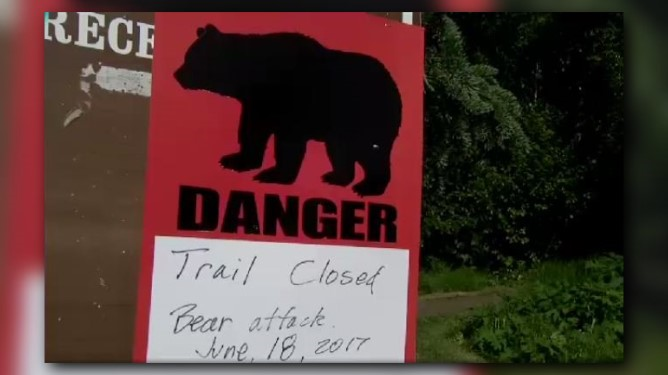 Bear Kills 16-Year-Old Teen Who Got Lost During Race | wcnc.com